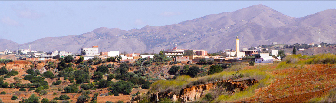 eRegulations Oriental